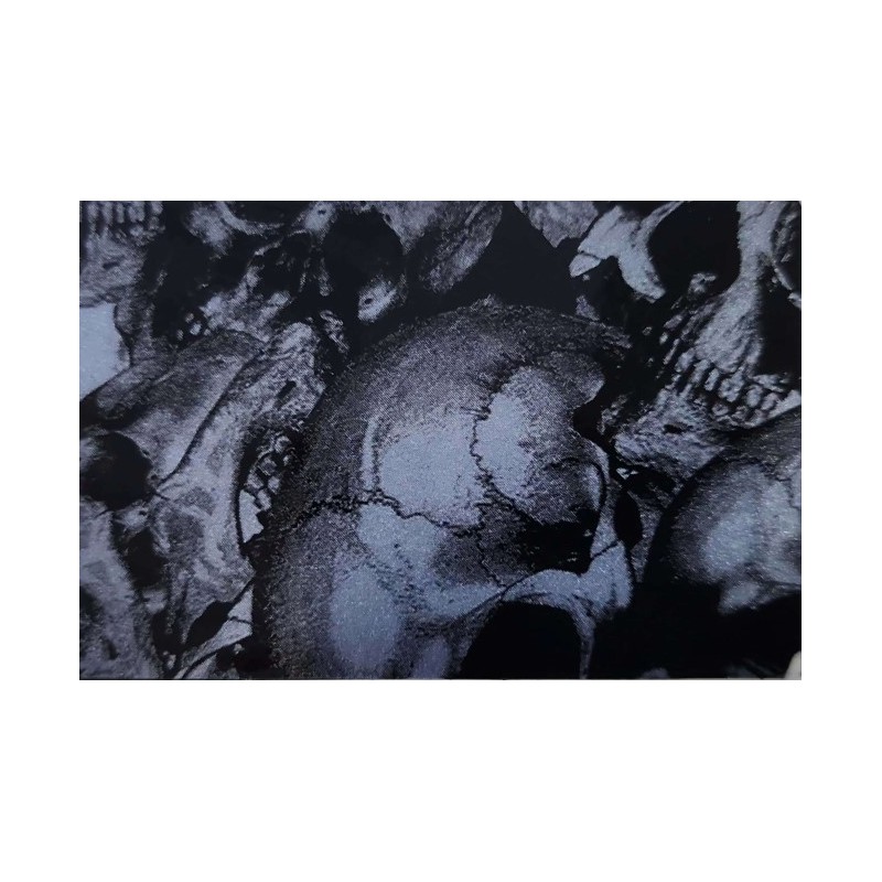 Hydrographics Film Skull Pattern - Trilogy Aero Sdn Bhd